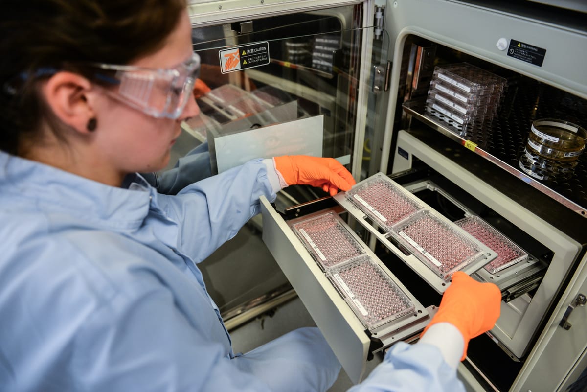 Using CRISPR to find targets in cancer drug discovery