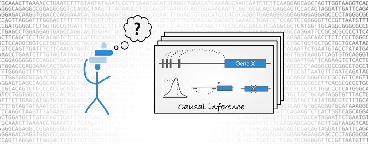 GWAS causal inference in Open Targets