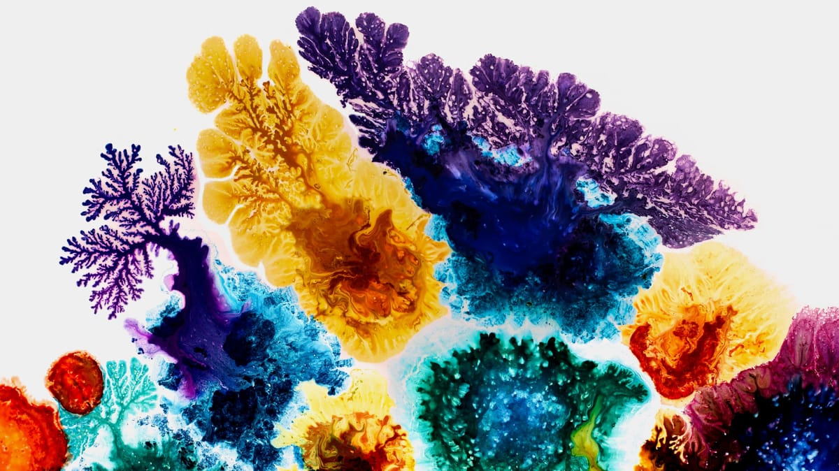 How Ana Cvejic built an immune atlas of lung cancer