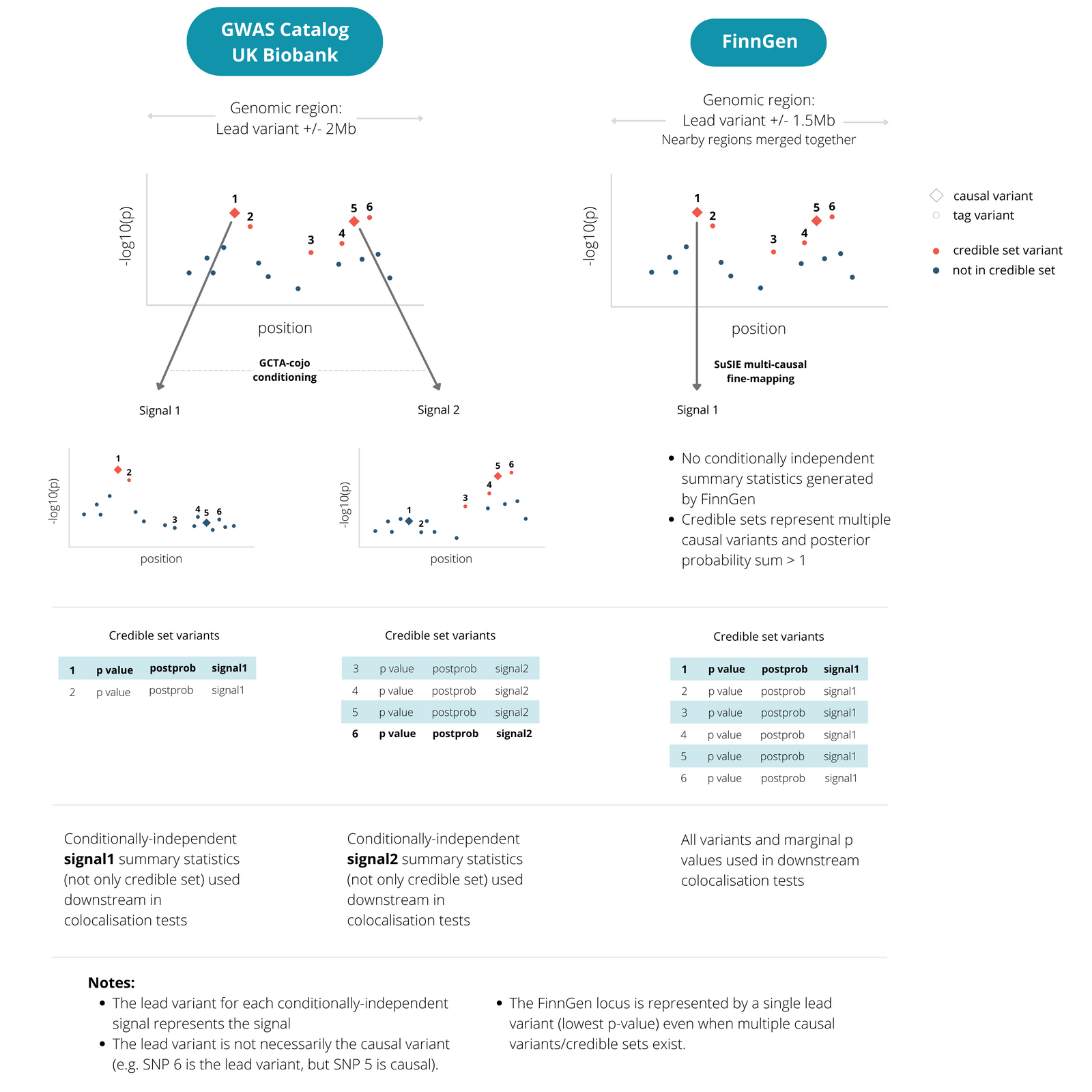 Open Targets Genetics: Version 5 is out!