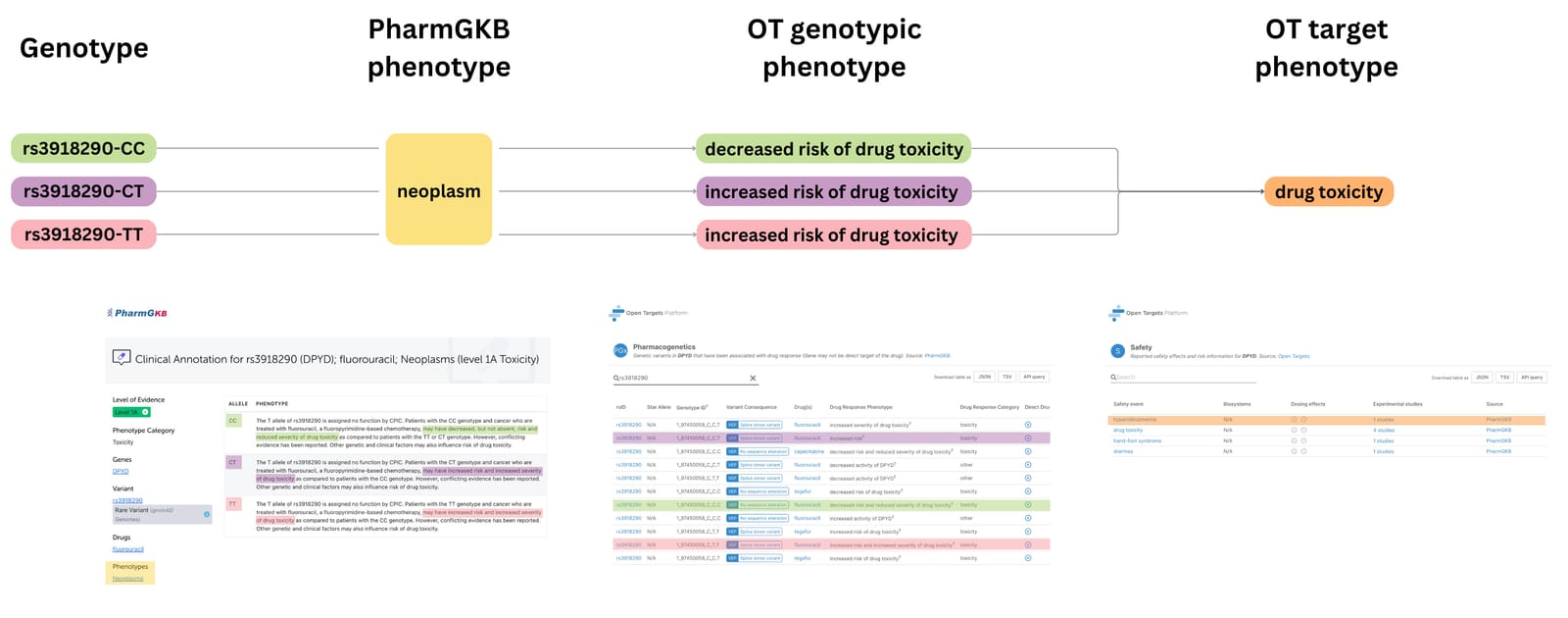 Integrating pharmacogenetics data: a new lens for target prioritisation