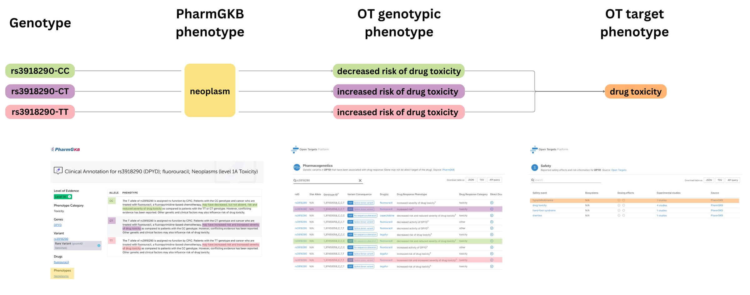 Integrating pharmacogenetics data: a new lens for target prioritisation